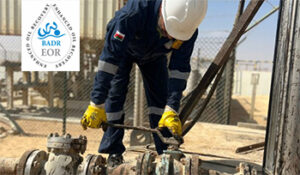 BADR Investment Group LLC
